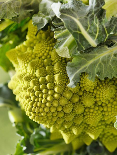 5 Unique Vegetables & Their Health Benefits – Pure Alpha LLC